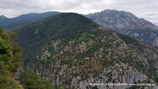 PHOTOONLINE.ES (web asociada a 3WPC): -error.php