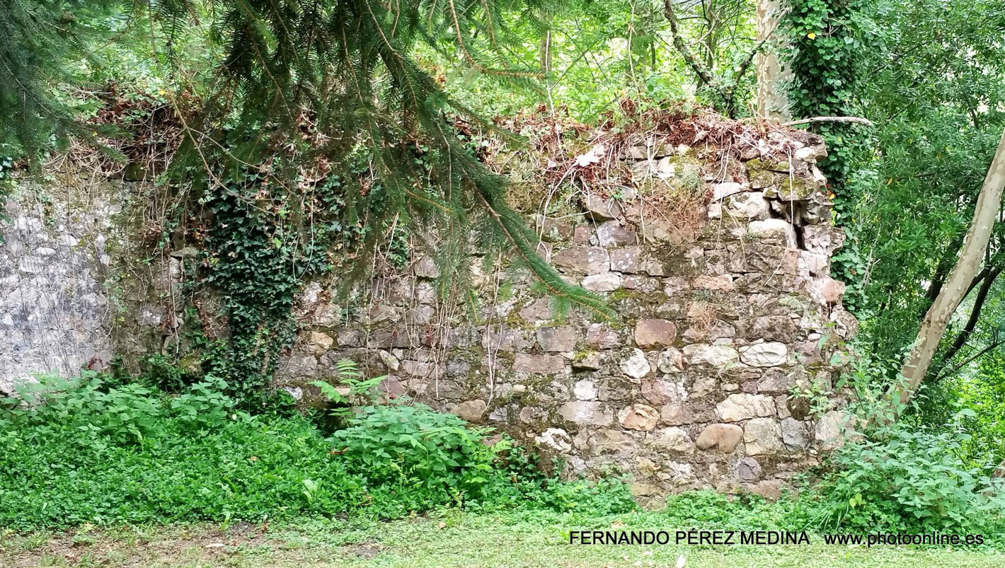 PHOTOONLINE.ES (web asociada a 3WPC): cultura-noticias